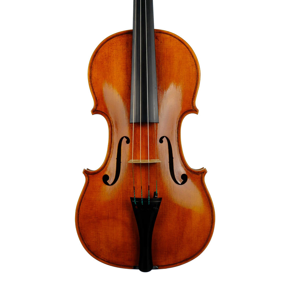 Viola